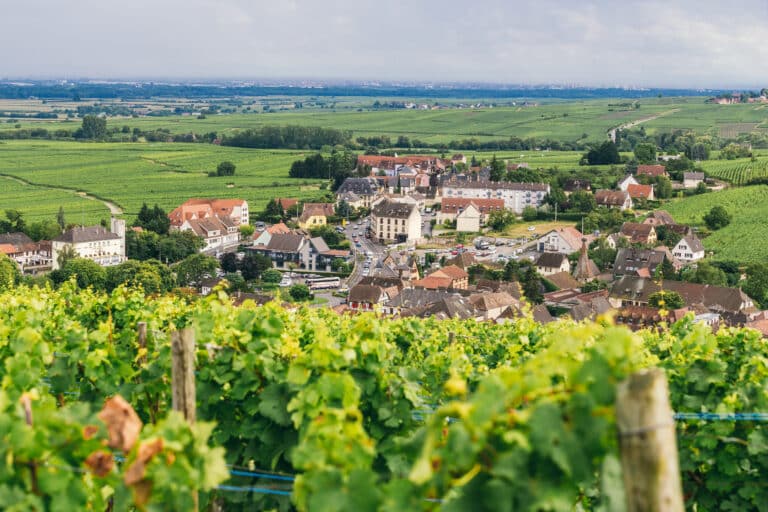 Mairie de Bergheim - Pays de Ribeauvillé Alsace